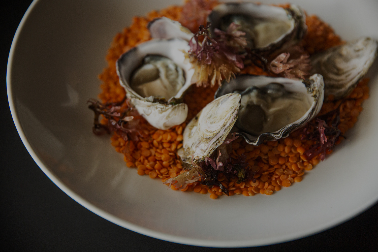 Deer Duck Bar – Deer Duck Bar: Brisbane Bar & Function Venue